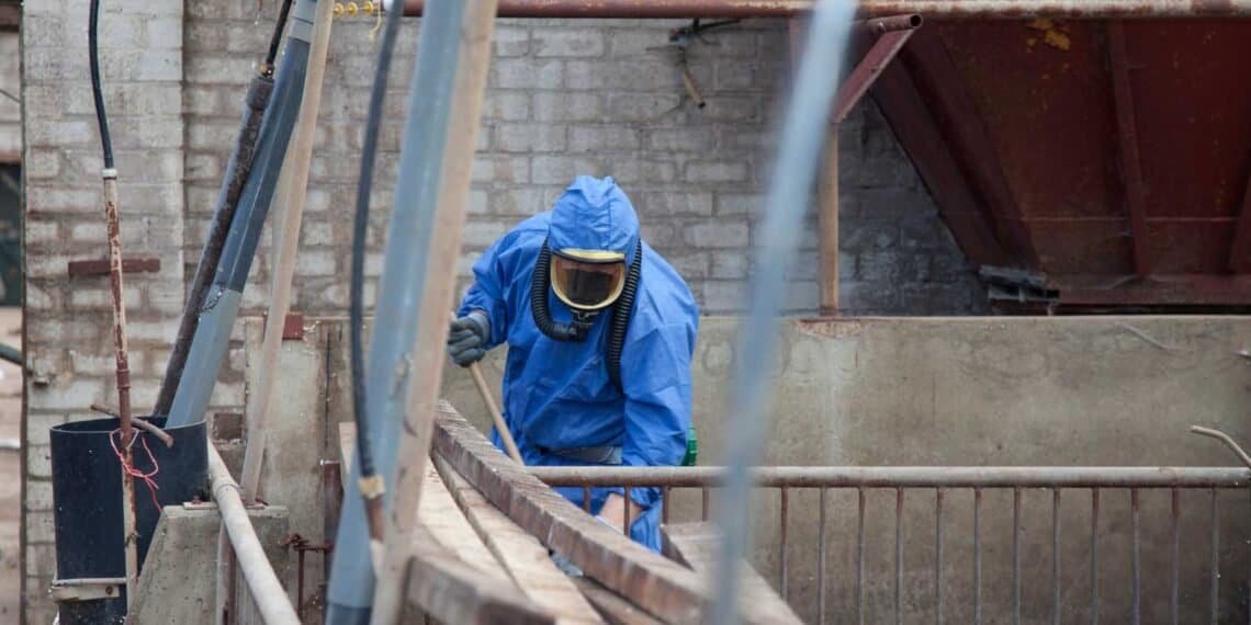 Artex Ceilings and Asbestos: A Homeowner’s Guide – Moldfear.com